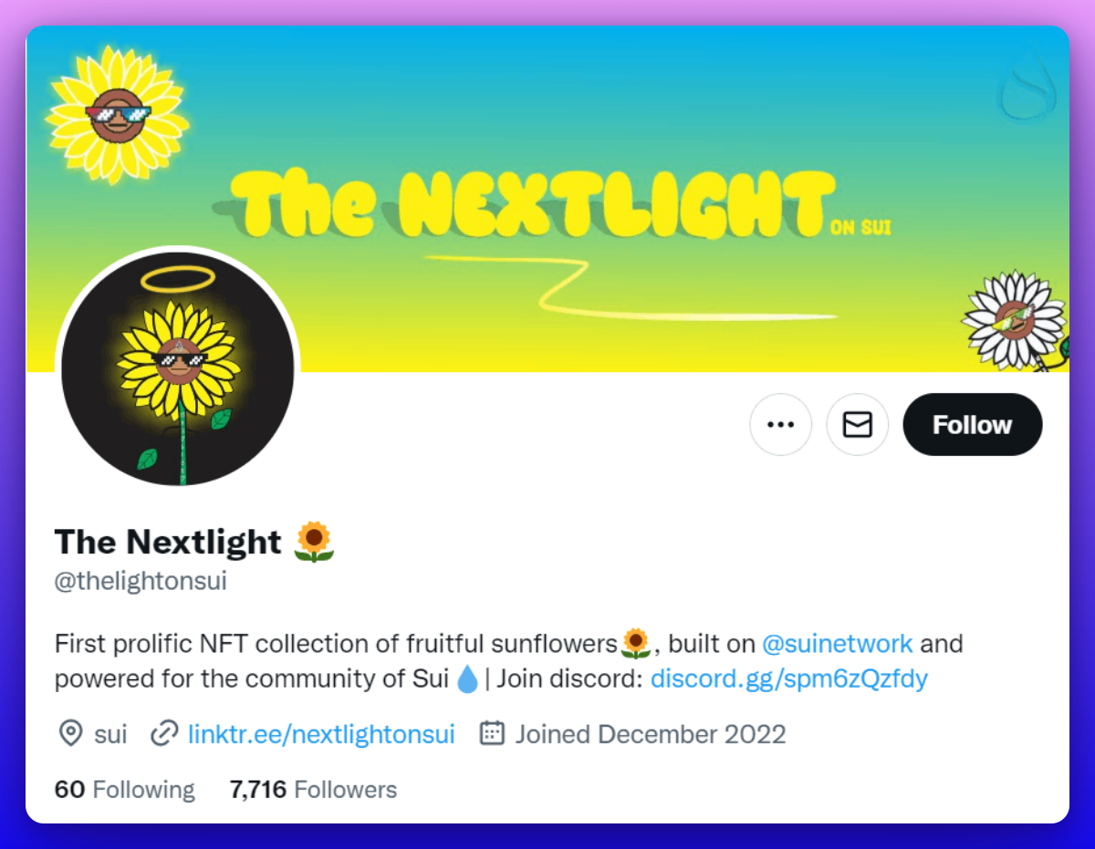 Top 10 NFT Projects On Sui Blockchain (Part 2)