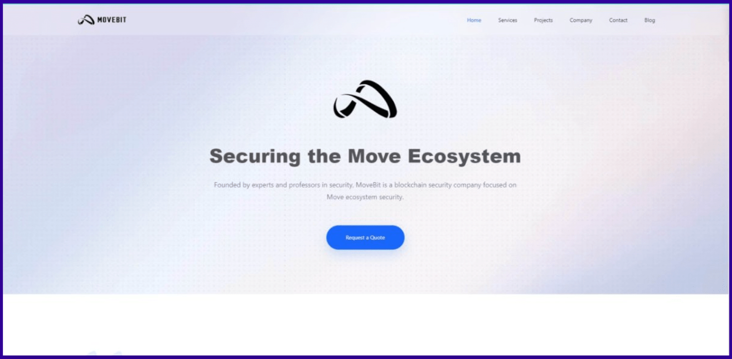 The First 12 Projects Funded By Sui Foundation