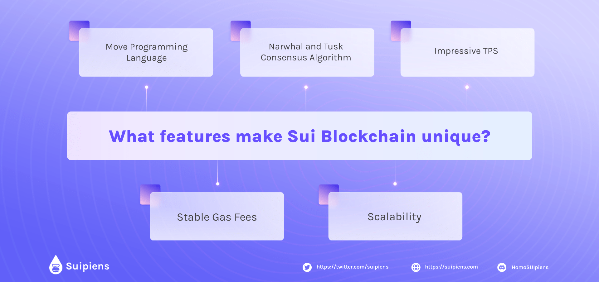 A Beginner's Guide To Sui Blockchain
